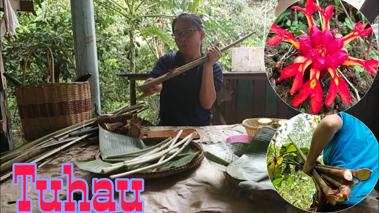 We called it Tuhau || Kadazandusun traditional food of Sabah - YouTube