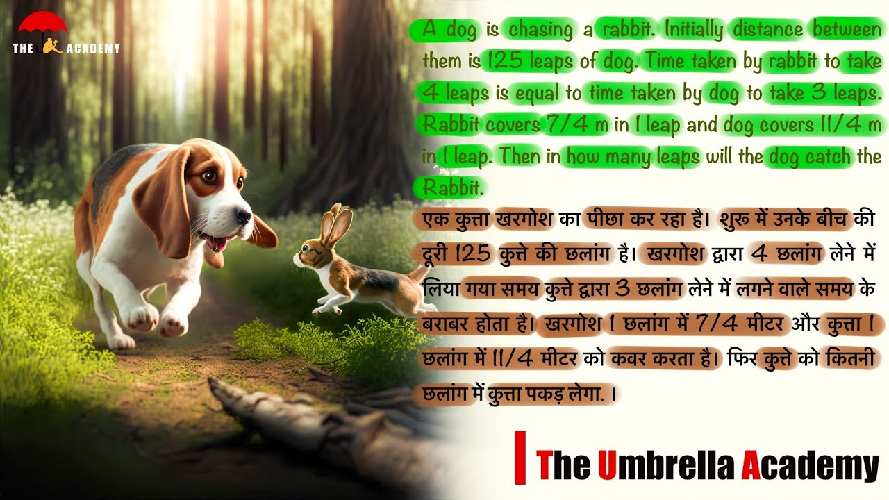 A dog is chasing a rabbit. Initially distance between them is 125 leaps ...