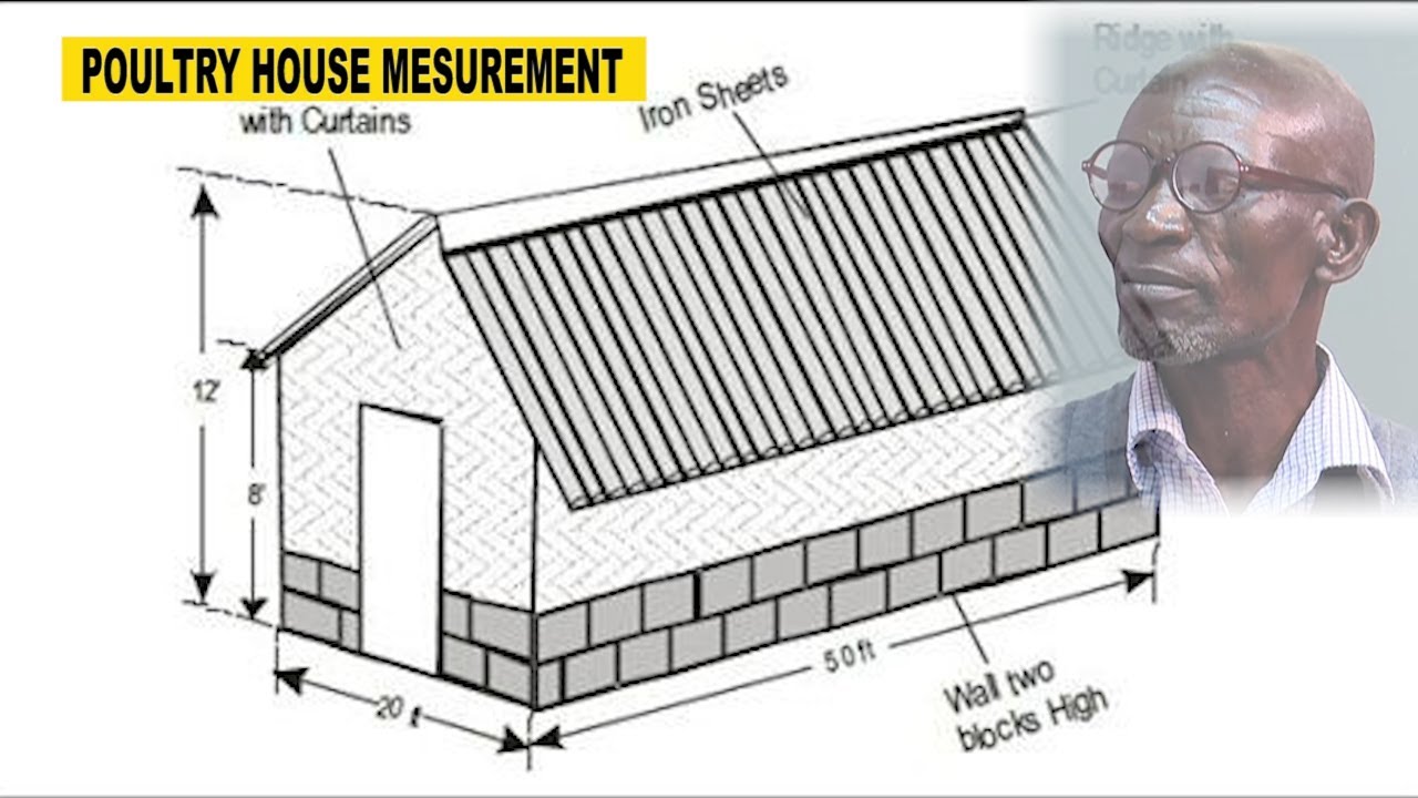 Chicken: House Measurements (Lenght And Widith) For 100Chicks For ...
