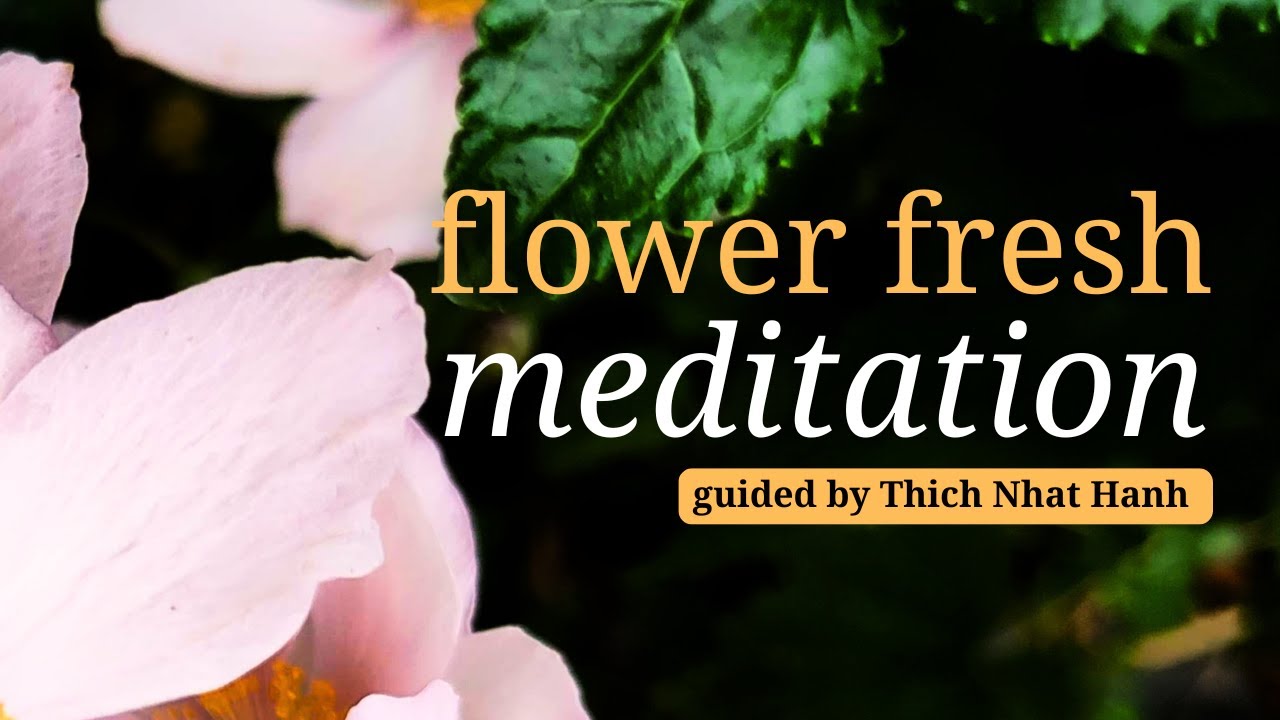 Flower Fresh Meditation | Guided by Thich Nhat Hanh | #mindfulness ...
