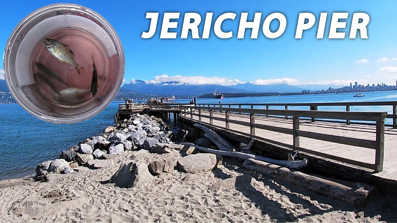 Fishing & Exploring the Jericho Pier || Ocean Pier Fly Fishing in ...