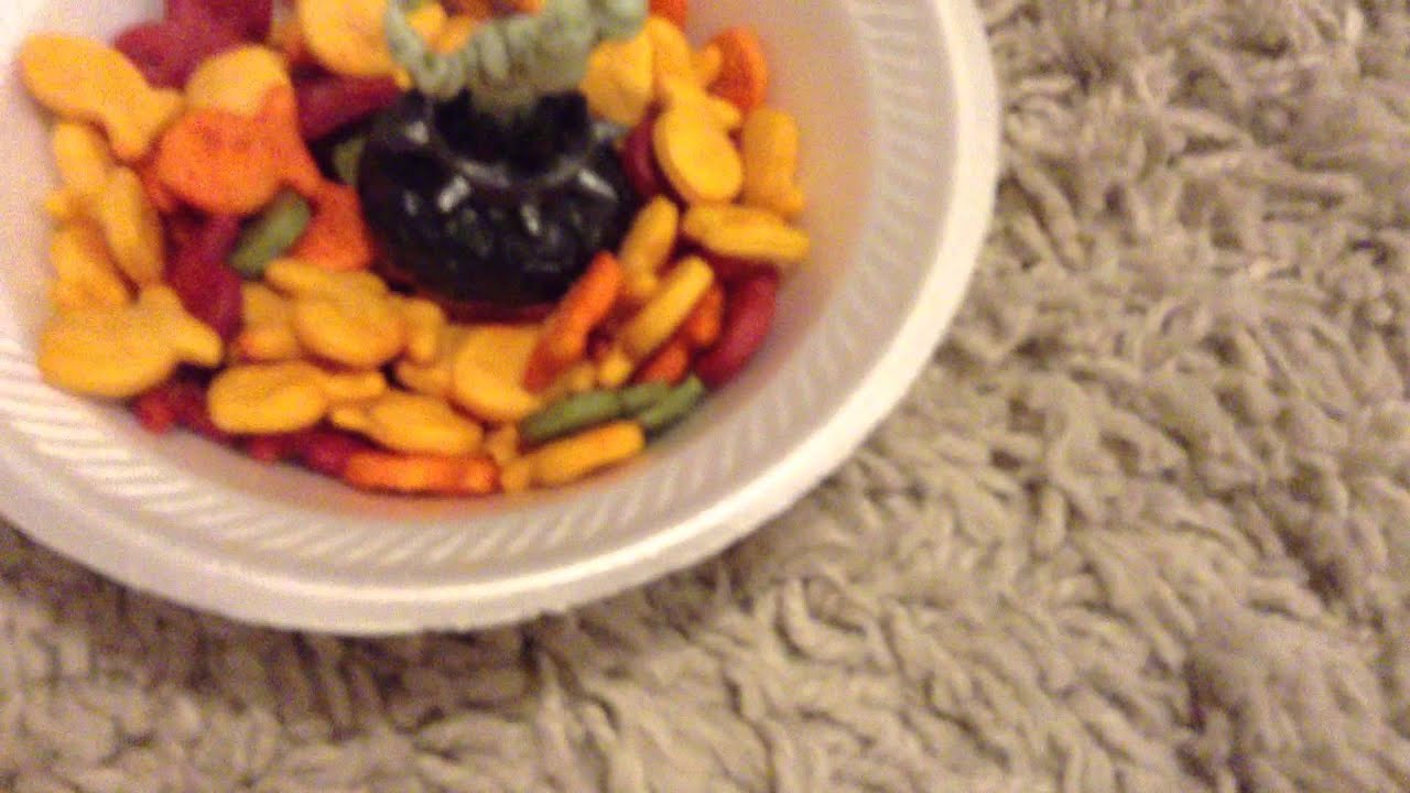 1st episode EVER...... Skylander Shorts Episode 1 - YouTube