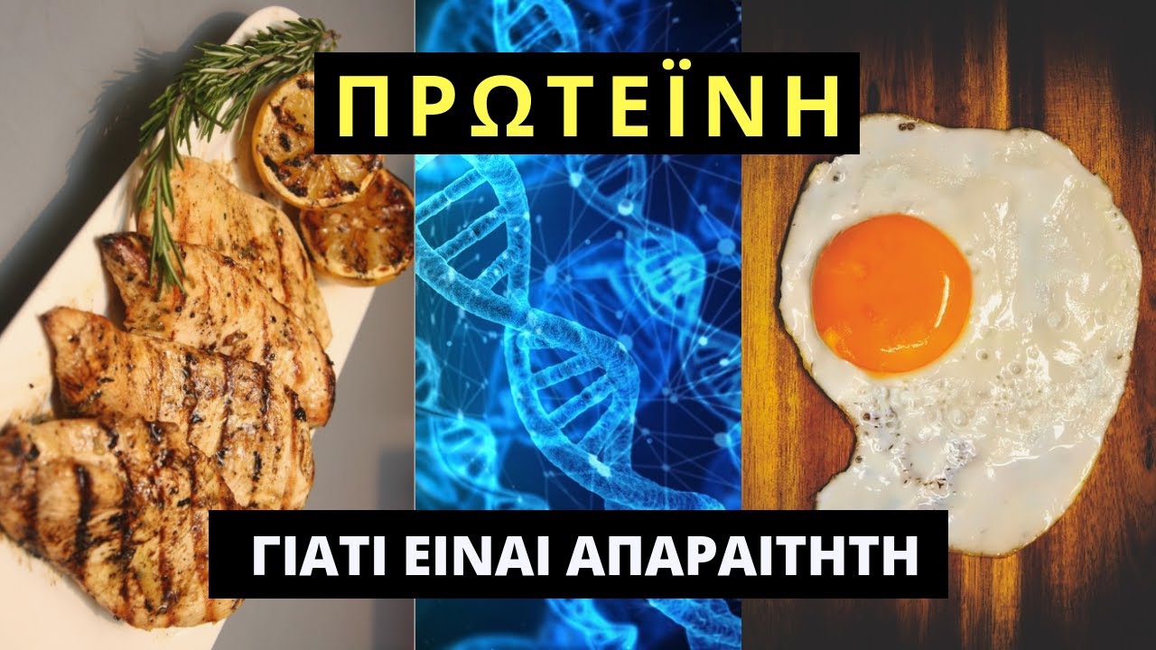 Γιατί η ΠΡΩΤΕΙΝΗ είναι ΑΠΑΡΑΙΤΗΤΗ για να ΧΑΣΕΙΣ ΛΙΠΟΣ - YouTube