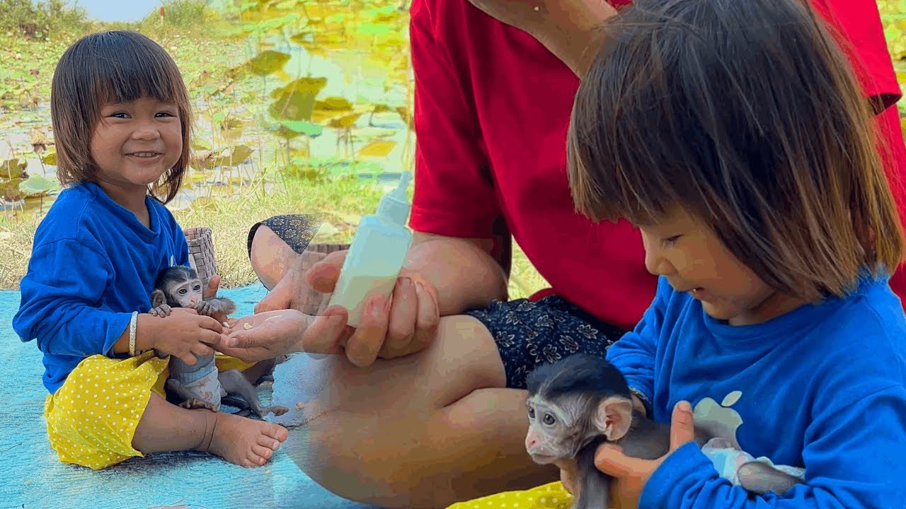 A little girl playing with Monkey. - YouTube