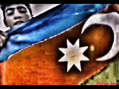 Canmsan zevs