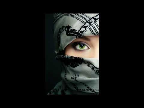Koddok & Aylin Music- Zelenite ochi  [ ilk demo mixsiz kaydı ]