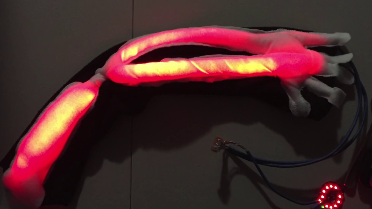 X-Ray Spooky Skeleton Arms - YouTube