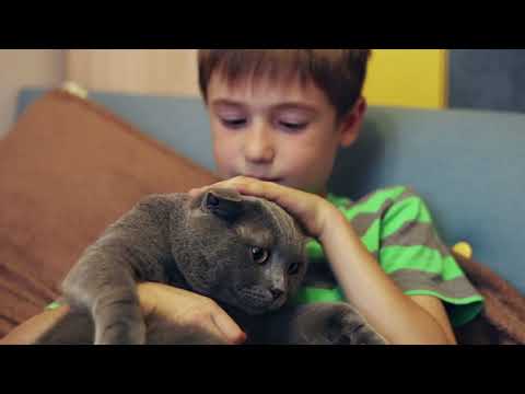 MEVLİD-İ NEBİ 2020 Peygamberimiz ve Çocuk Sinevizyon