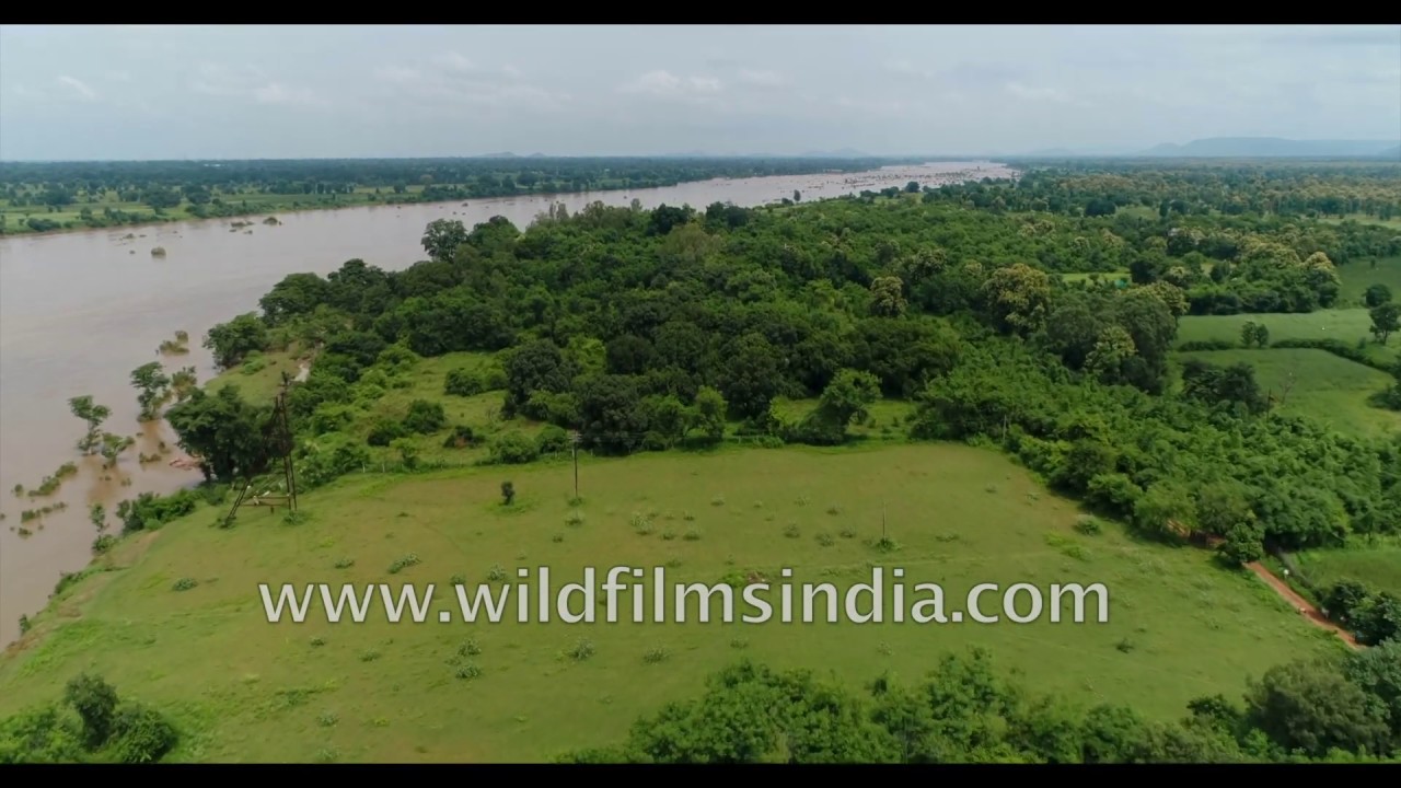 Aerial of embankment of Ken river in Panna | Post-monsoonal greenery ...