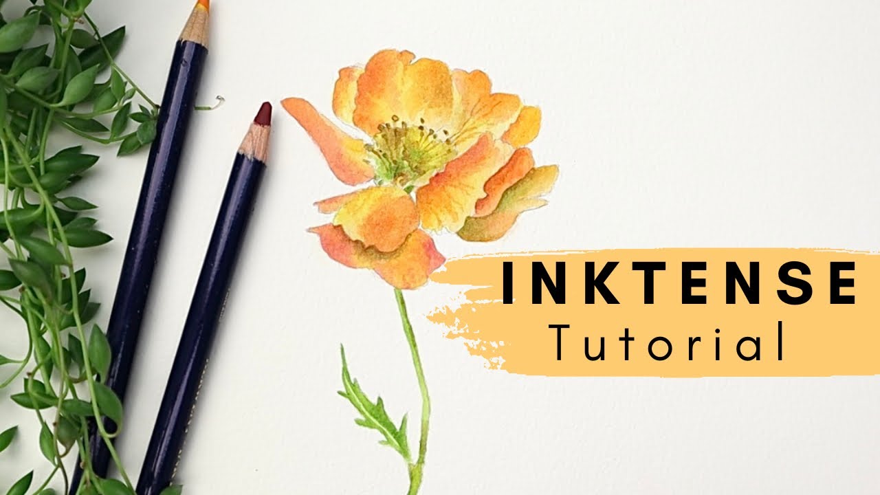 Unleashing the Magic of Inktense: painting a vibrant yellow flower ...