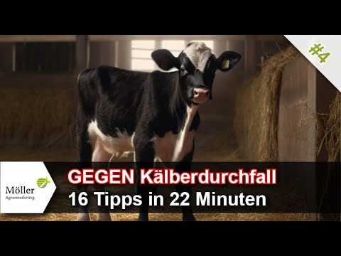 16 Tipps GEGEN Kälberdurchfall und FÜR gesunde Kälber! Teil #4 - YouTube