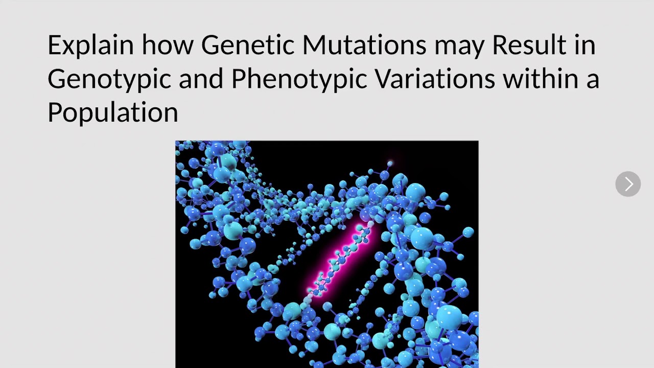 How Genetic Mutations may result in Genotypic and Phenotypic Variation ...