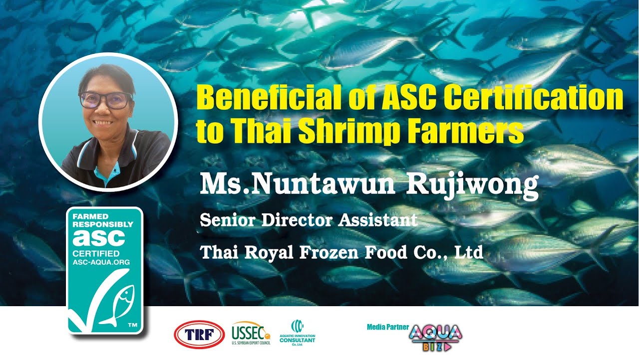 Beneficial of ASC Certification to Thai Shrimp Farmers - YouTube