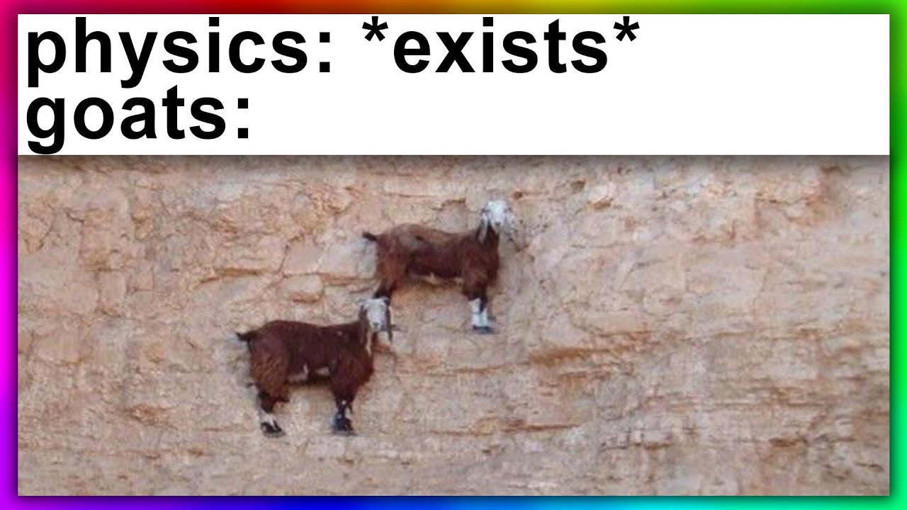 memes that DEFY physics - YouTube
