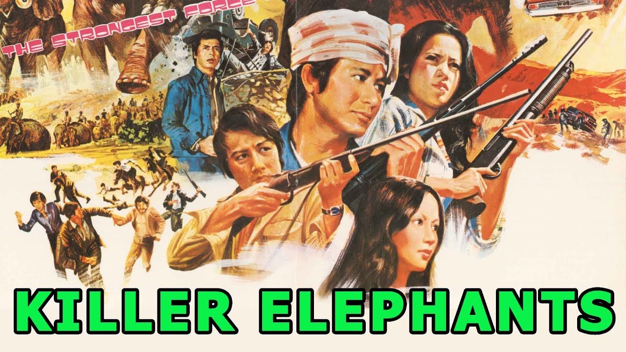 Wu Tang Collection - Killer Elephants - YouTube