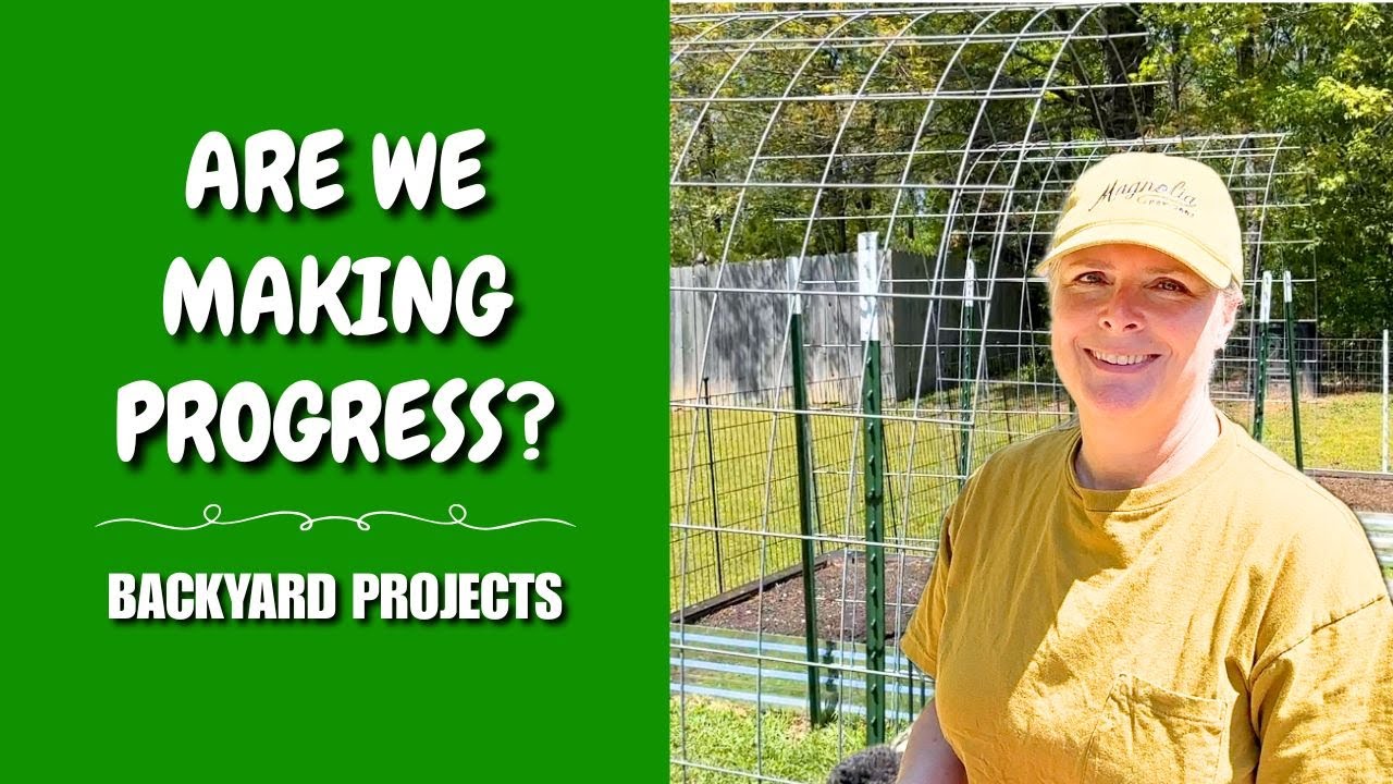 Are We Making Progress? Backyard Projects - YouTube