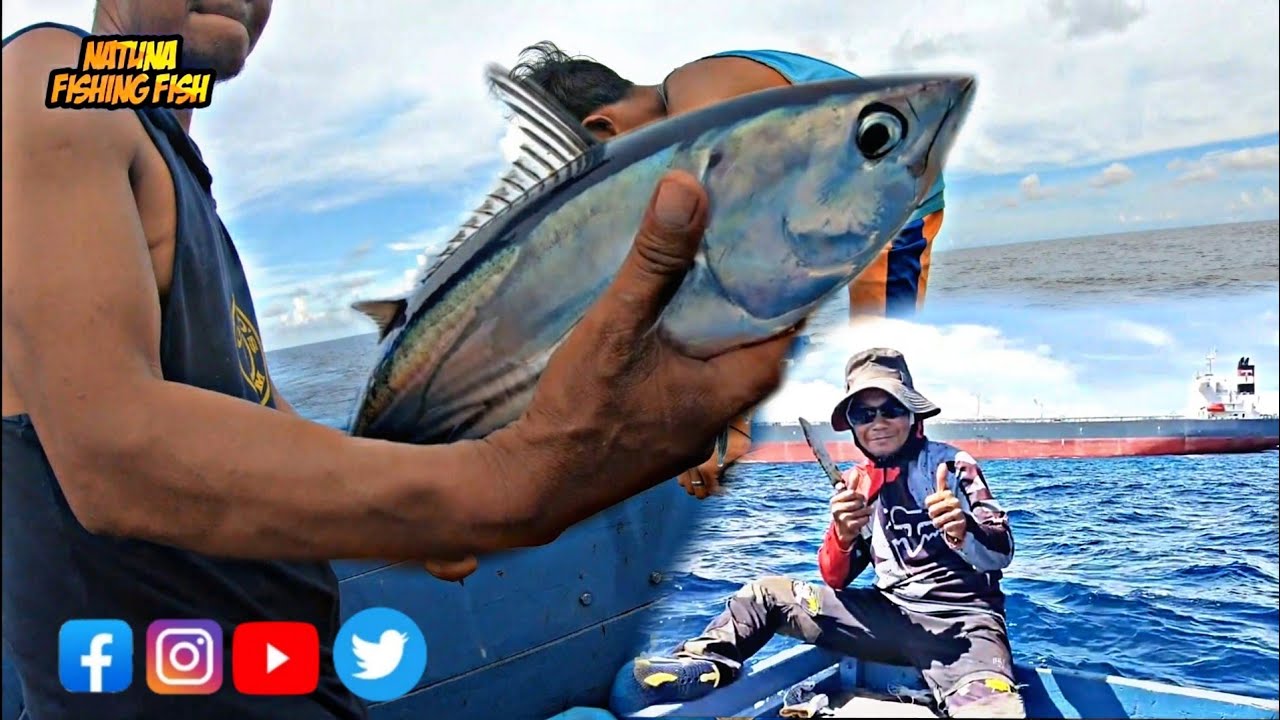 Mancing tuna untuk di jadikan umpan mancing kakap di laut lepas - YouTube
