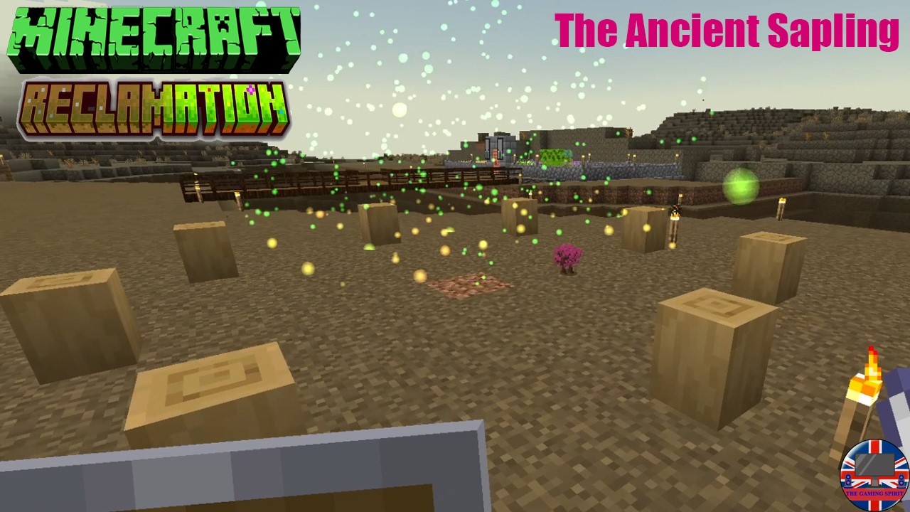 Minecraft Reclamation / Creating The Ancient Sapling Ready for The ...