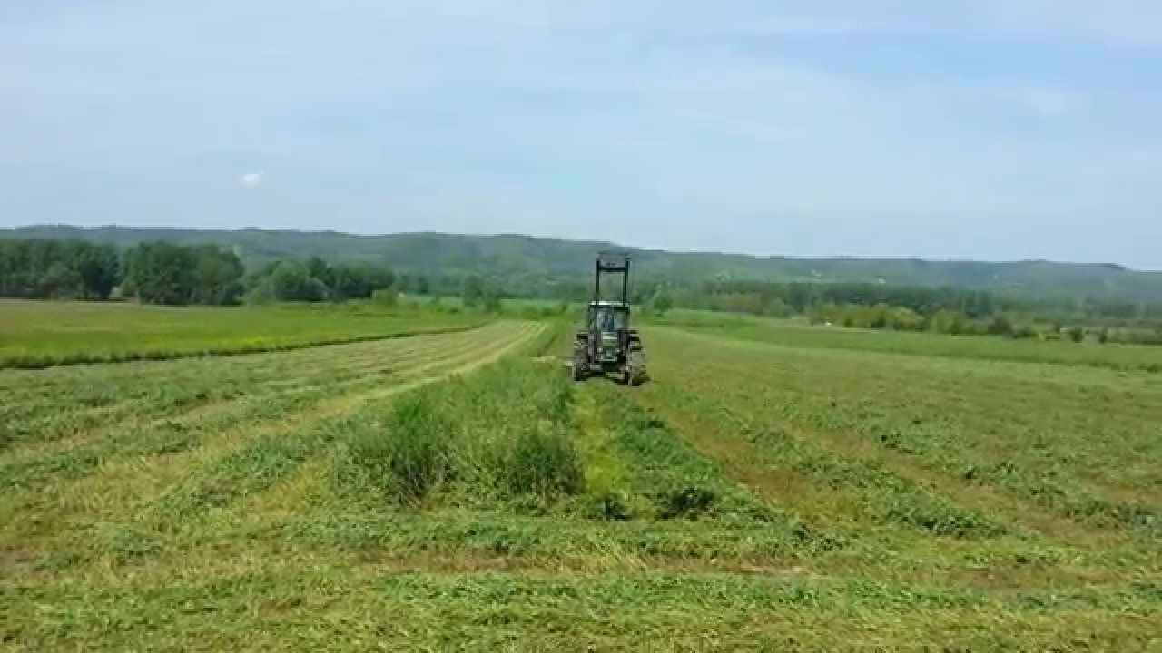 Cosit de lucerna - YouTube