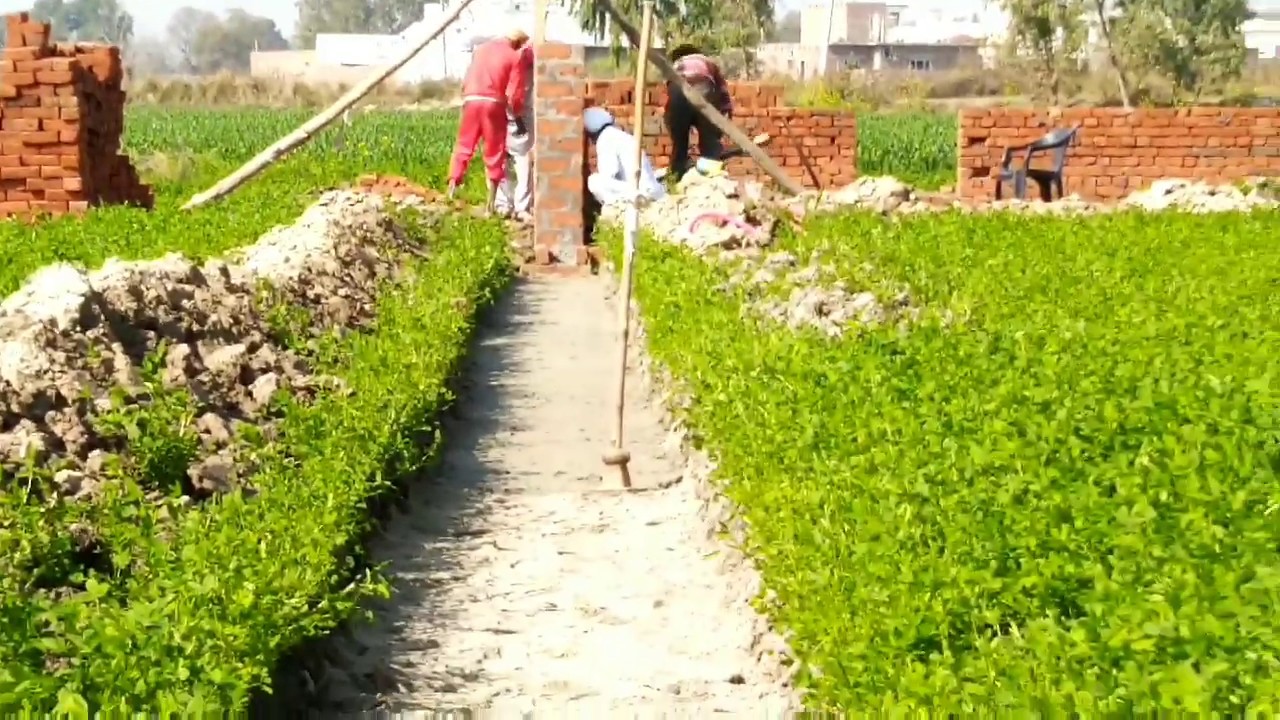 Layer farming || construction day 6 - YouTube