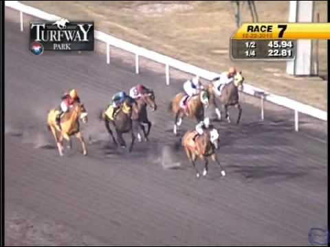 Stay On Shore Gives Trainer Jeff Greenhill His 500th Win - YouTube