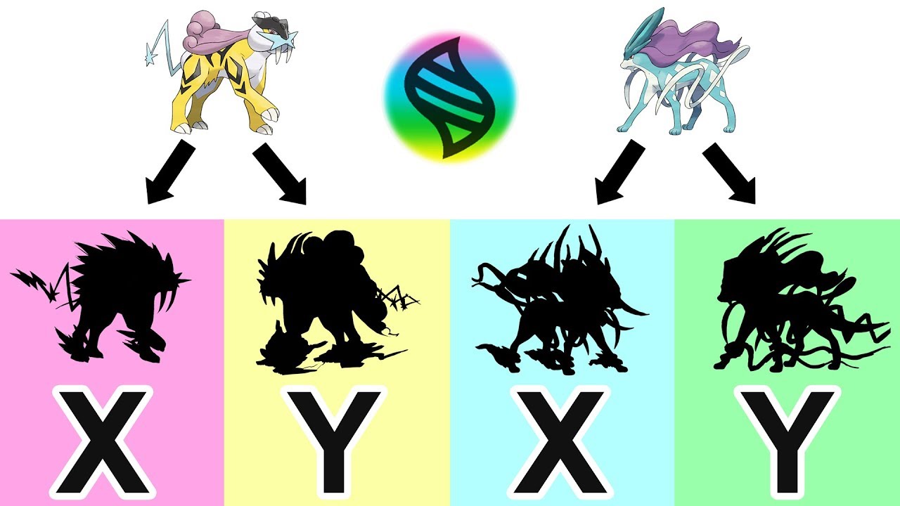 Amazing Future Pokemon Mega Evolutions: Mega Suicune X, Y - Mega Raikou ...