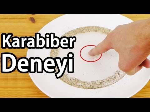 KARABİBER VE SABUN DENEYİ