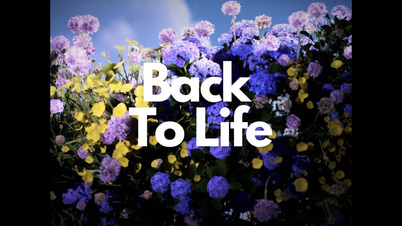 Back to Life - YouTube