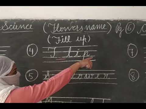 CLASS LKG, SCIENCE, SEASONS, PAGE NO 27 - YouTube
