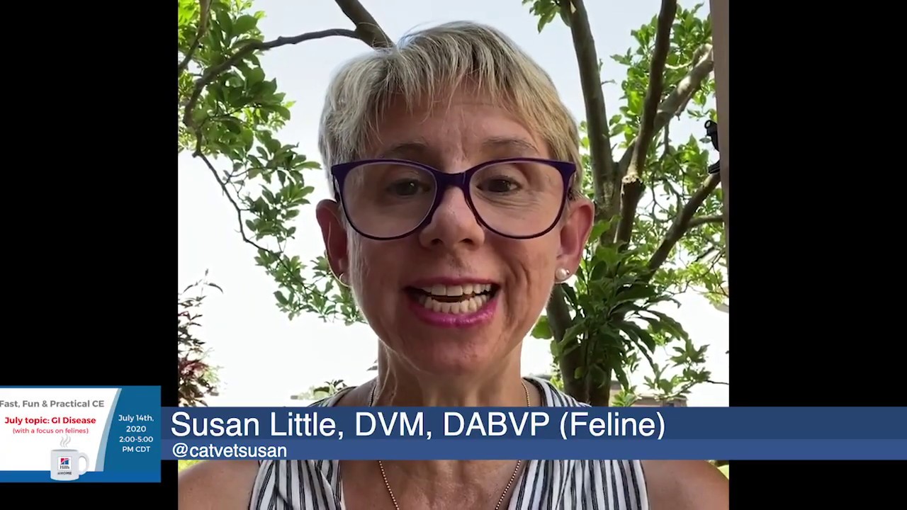 Dr. Susan will be Live at Hill's@Home - YouTube