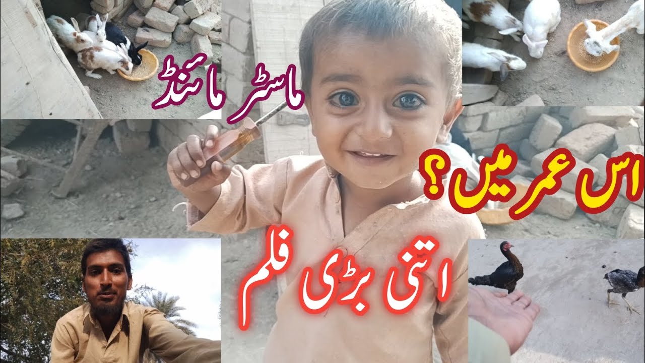 Ahmed k animal |As age main anti film| Master minde| - YouTube