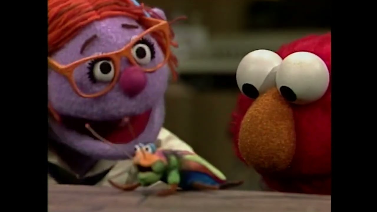 Sesame Street - Roxie Marie and Elmo capture a Doozy bug - YouTube