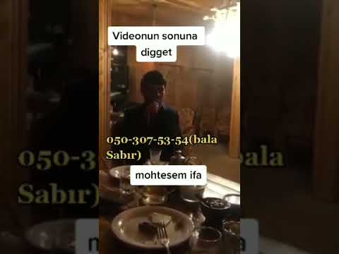 Segah 2022