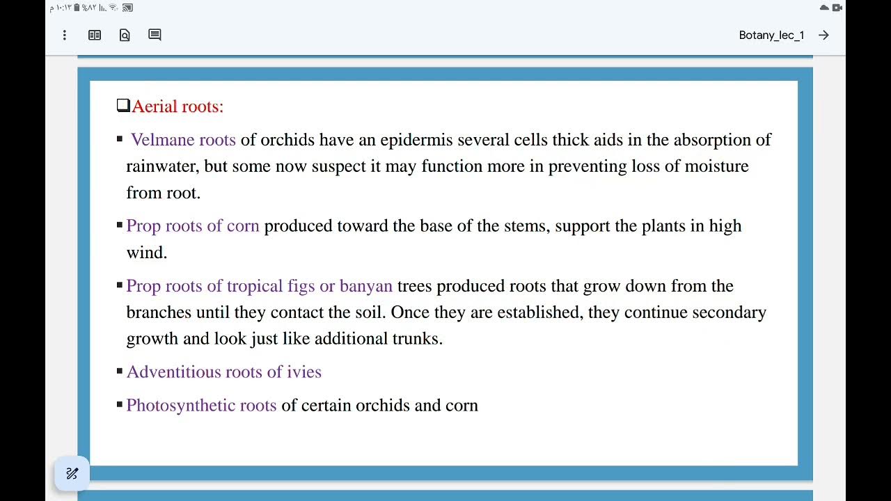 Agricultural Botany Lecture 1 part 2 - Biotechnology - YouTube