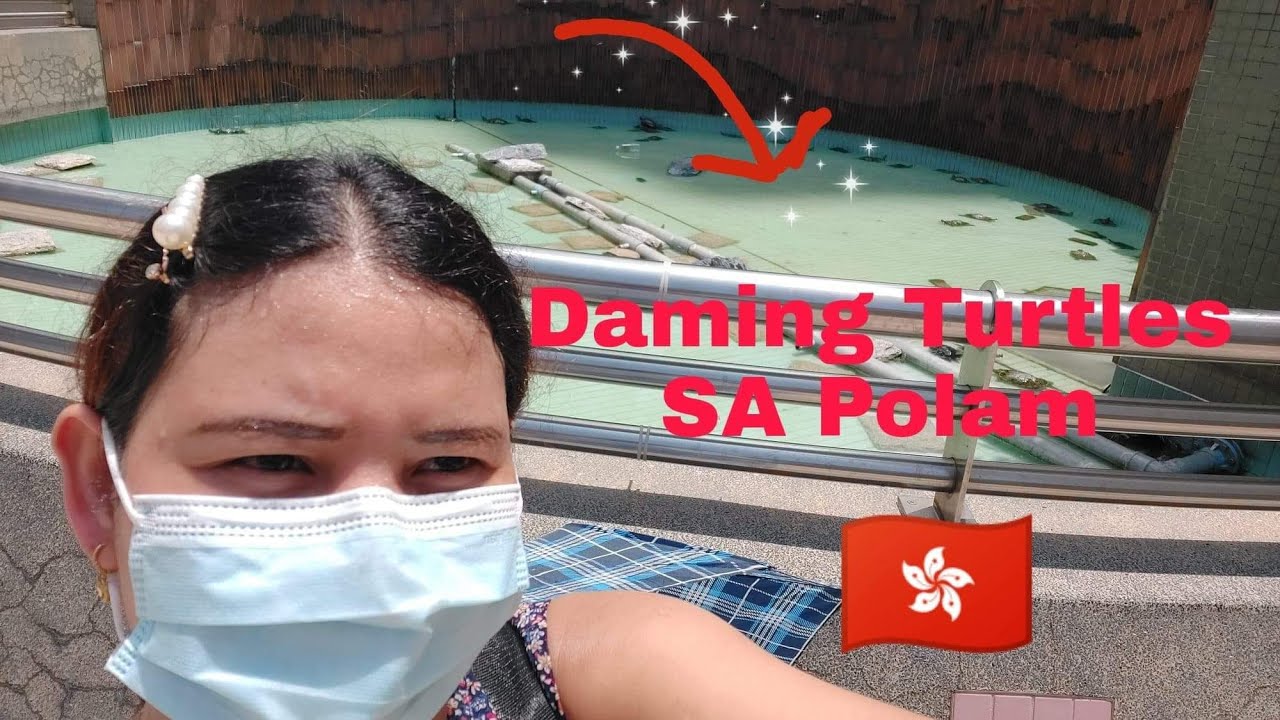 Nakadaan Kami Ng Maraming Turtle - YouTube