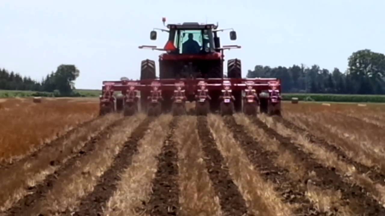 SUNFLOWER STRIP TILL DEMO - YouTube