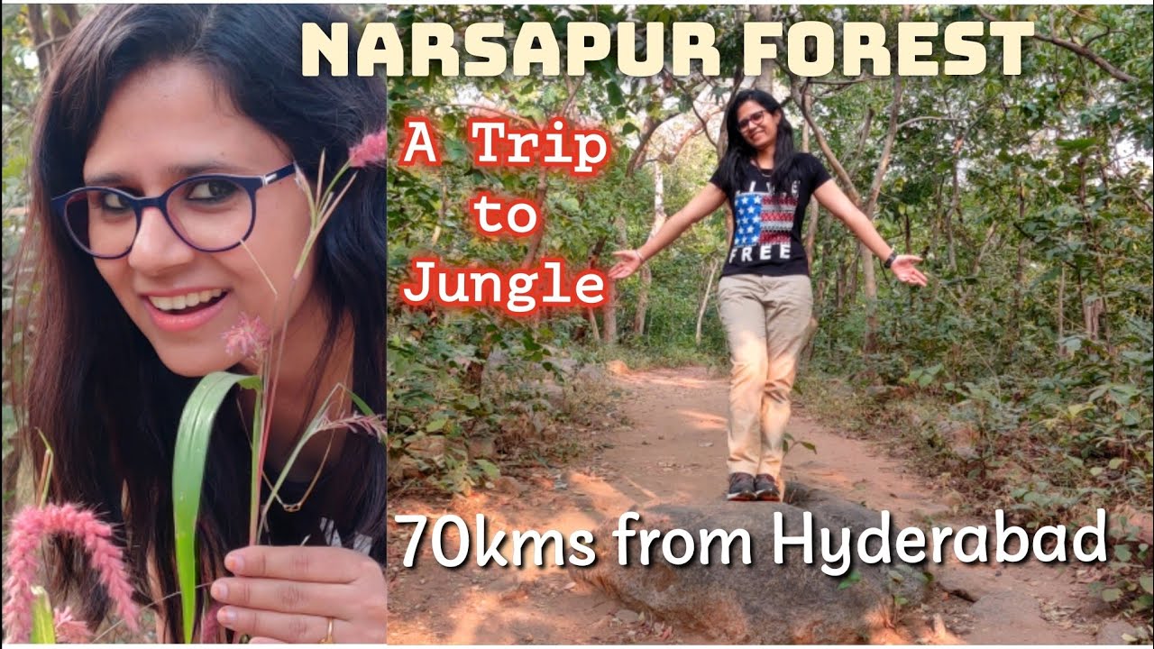Narsapur Forest Urban Park | One day weekend drive from Hyderabad ...