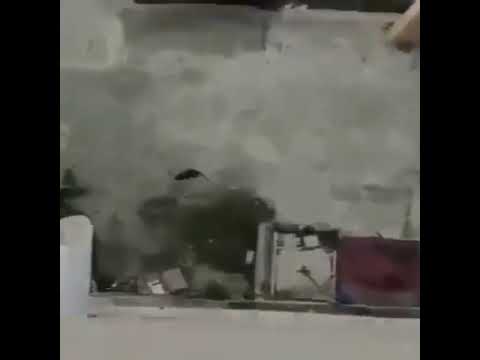 Rat vs cinder block - YouTube