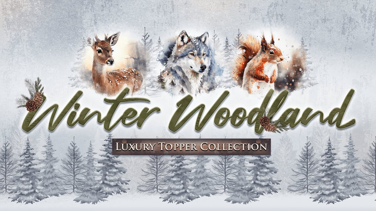 Live Launch - Winter Woodland - YouTube