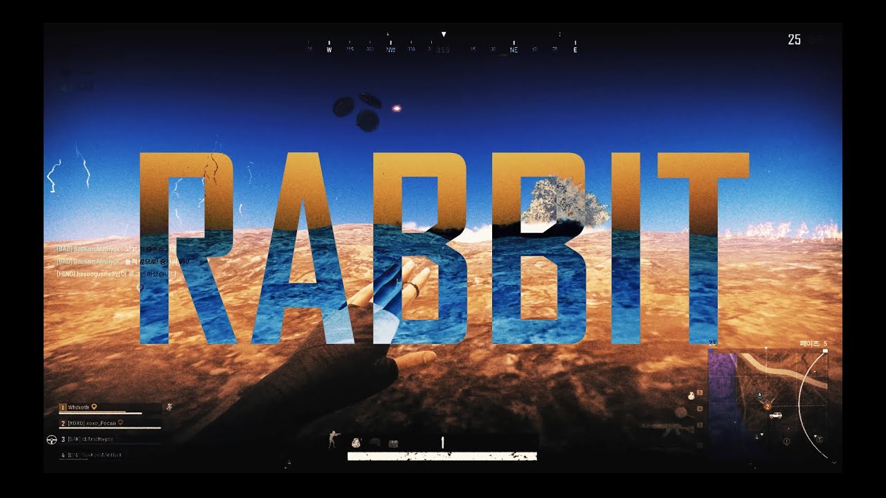 ' Rabbit ' PUBG Highlights 4K #9 - YouTube