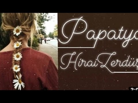 HiraiZerdüş-Papatya
