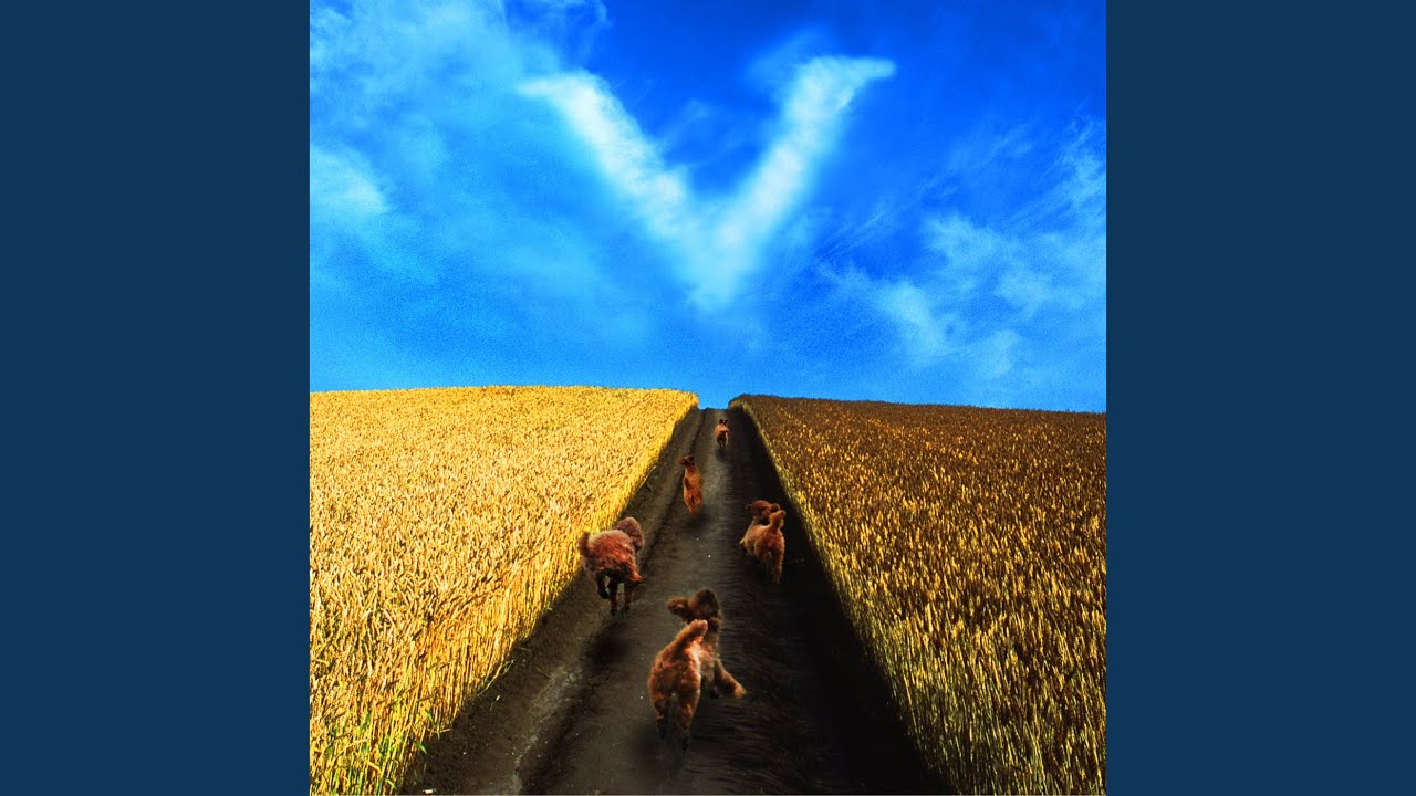 Denen - YouTube Music