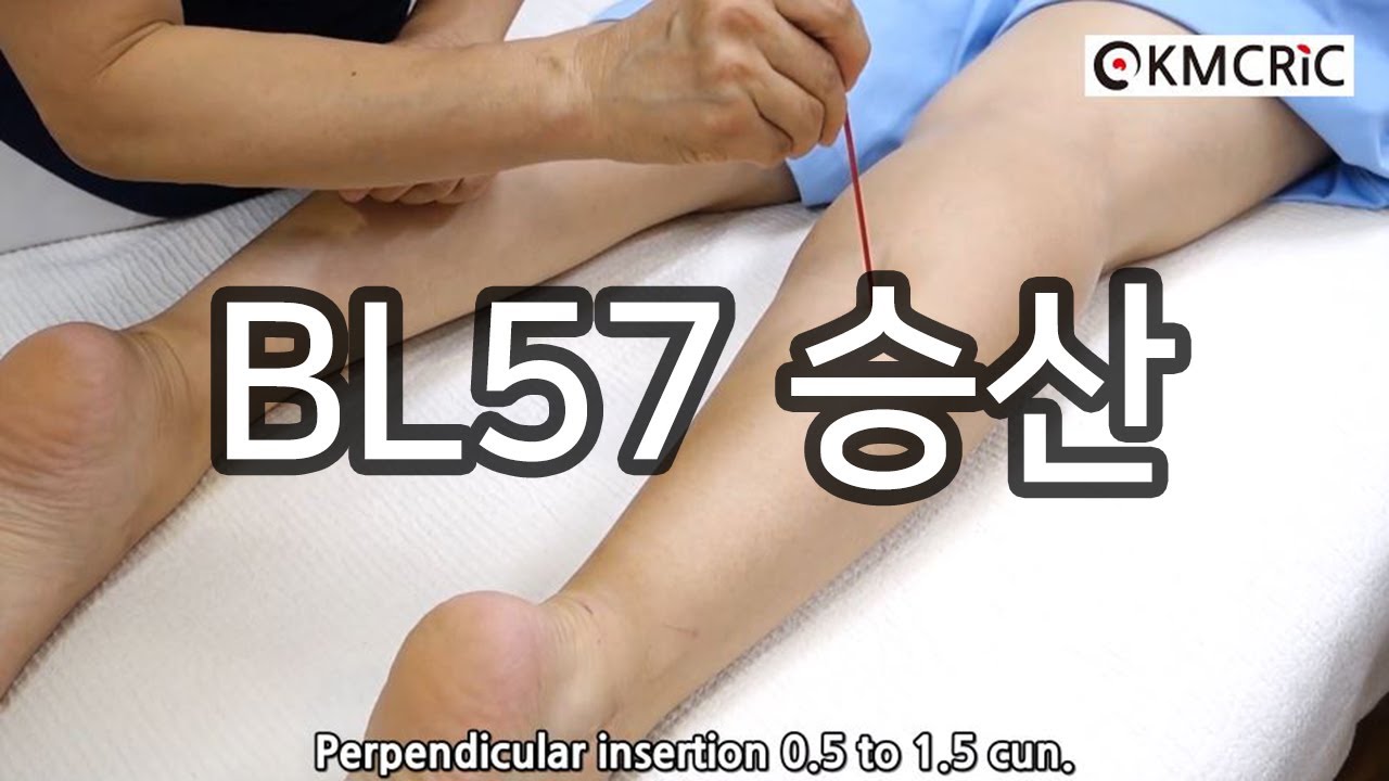 BL57 승산 承山 Chengshan (Eng sub) - KMCRIC WHO Standard acupoint DB - YouTube