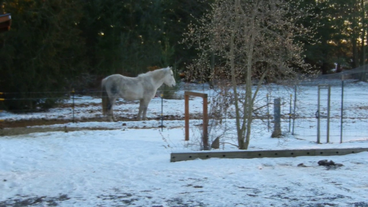 Hay field soil test results and lime - YouTube