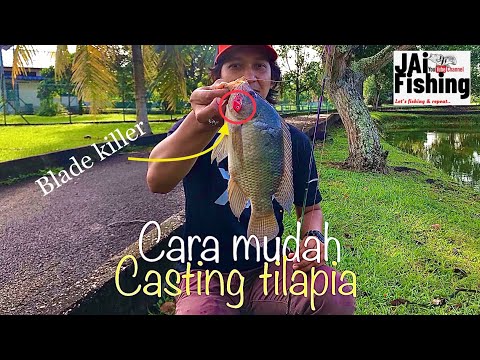 Teknik Casting Tilapia menggunakan Blade