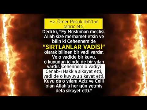 HZ MEHDİ'NİN DÜŞMANI SIRTLAN LAKAPLI MELUN!