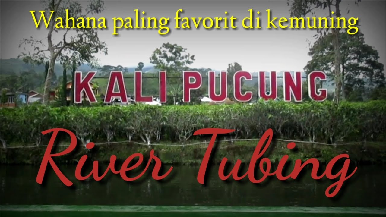 TEMPAT INI PALING FAVORIT UNTUK RIVER TUBING, KALI PUCUNG KEMUNING ...