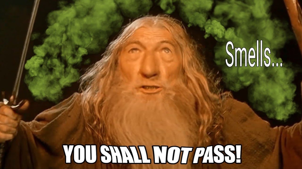 You shall not pass! MEME - YouTube