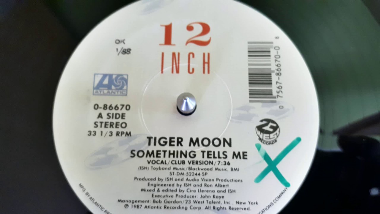 Tiger Moon ‎–Something Tells Me (Vocal/Club Version) - YouTube