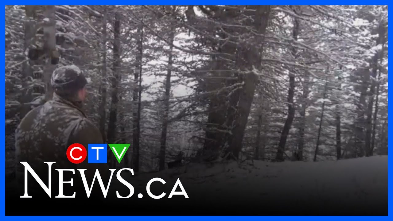 $356K for Alberta's special hunting licences - YouTube